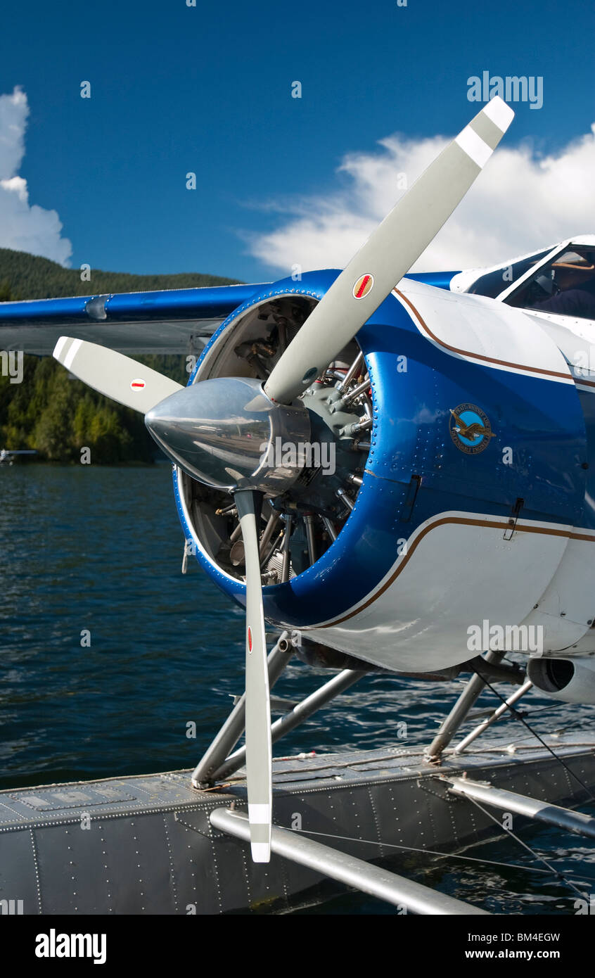 De Havilland Beaver DHC-2 Bush Plane near Ketchikan, Alaska, USA Stock ...