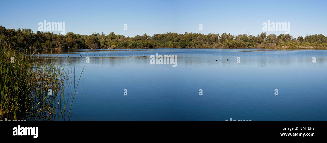Panorama of Lake Yanchep north of Perth. Western Australia Stock Photo ...