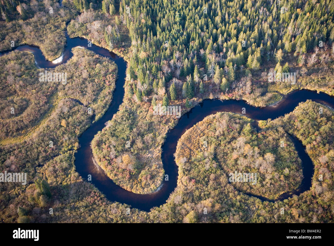The boggy wetlands of the Nulhegan River in Ferdinand, Vermont. Near ...