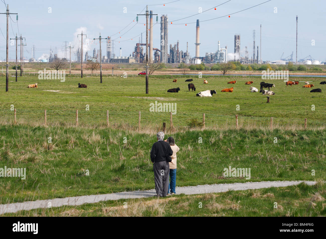 Rspb saltholme nature reserve hi-res stock photography and images - Alamy