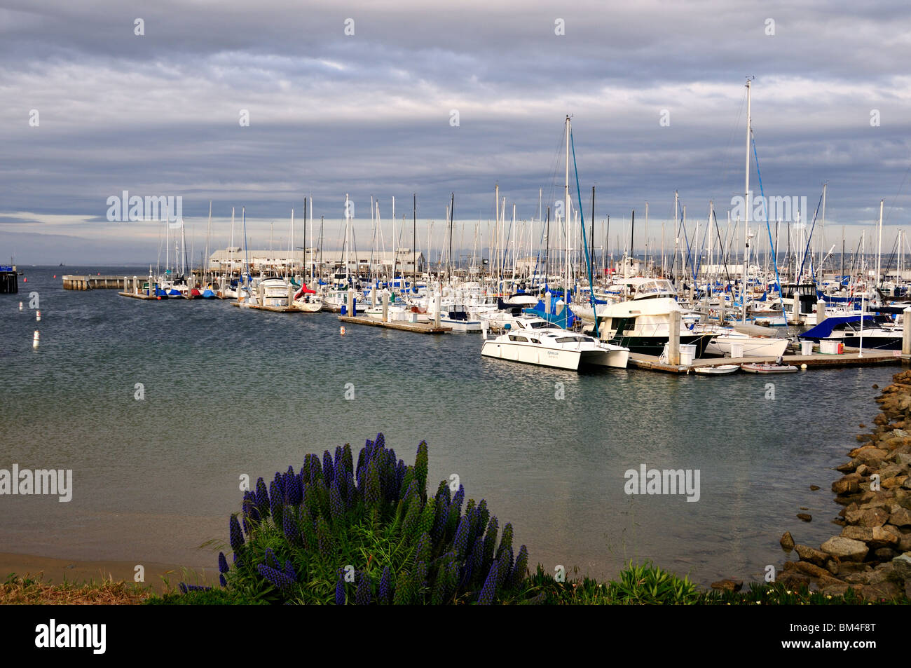 The fisherman's Wharf, Monterey, California, USA Stock Photo - Alamy