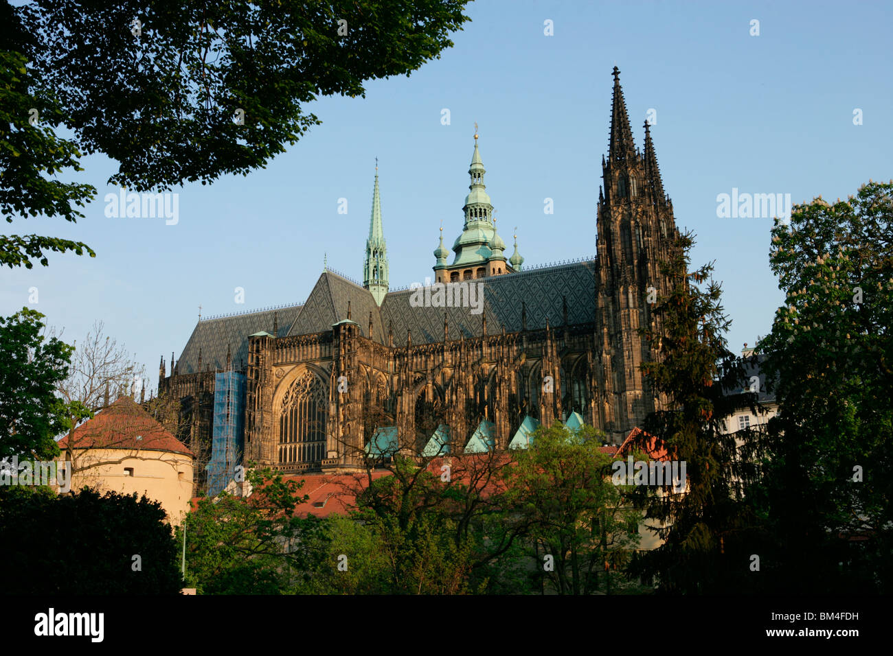 St. Vitus Cathedral Stock Photo - Alamy