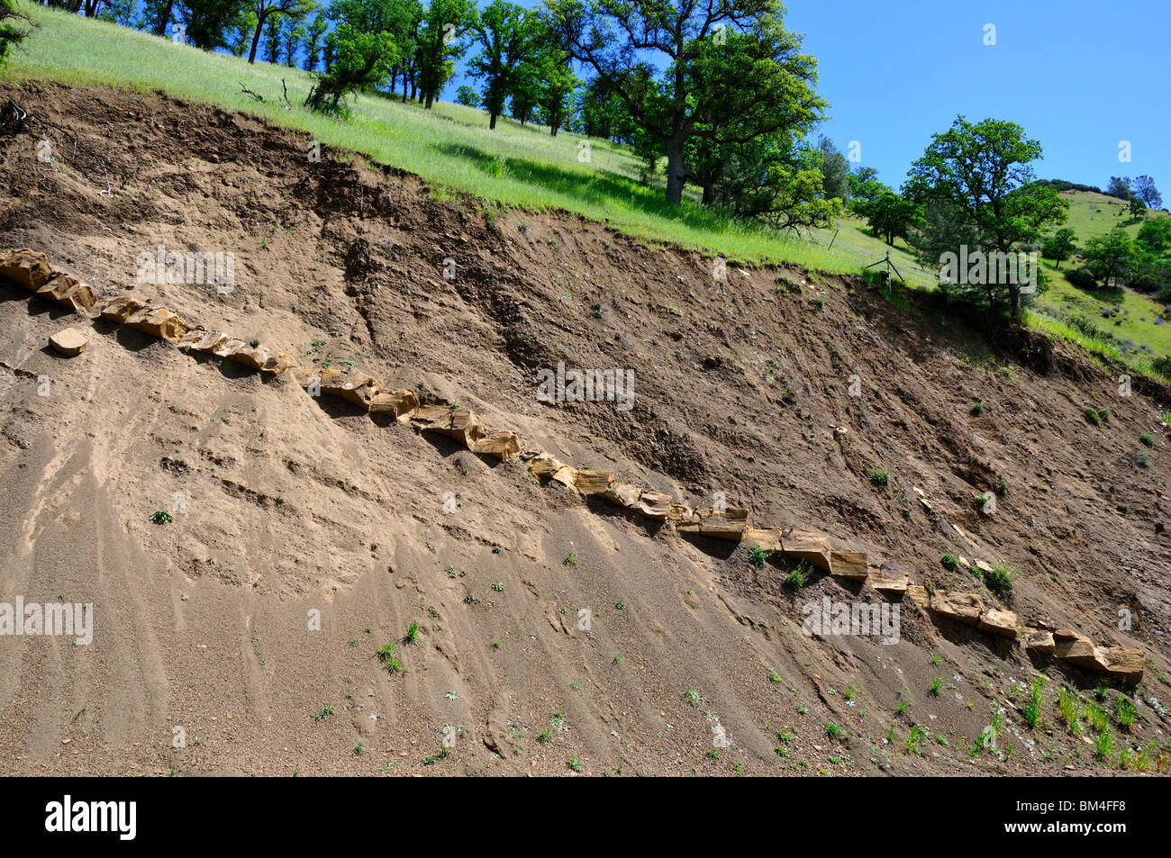 Outcrop rock hi-res stock photography and images - Alamy