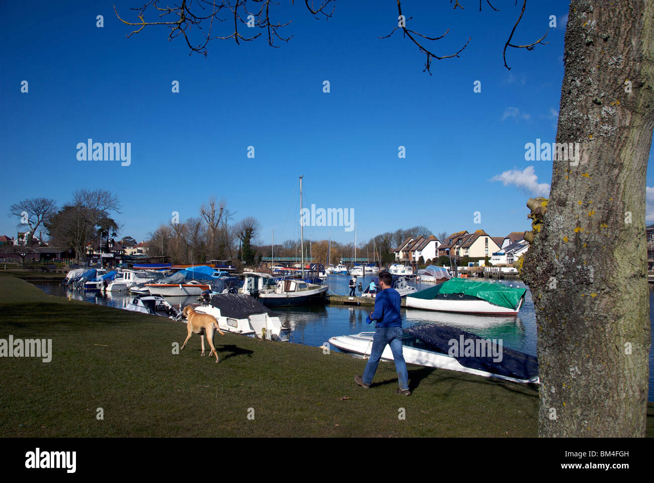 Tucton Bournemouth Dorset Hampshire River Stour UK Marina Boats Stock ...