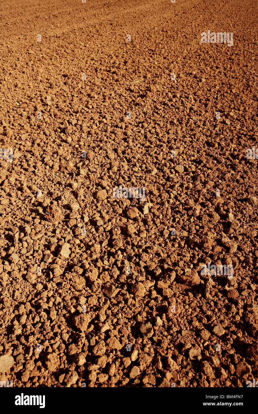 Clay red agriculture textured soil of farmanland Stock Photo - Alamy