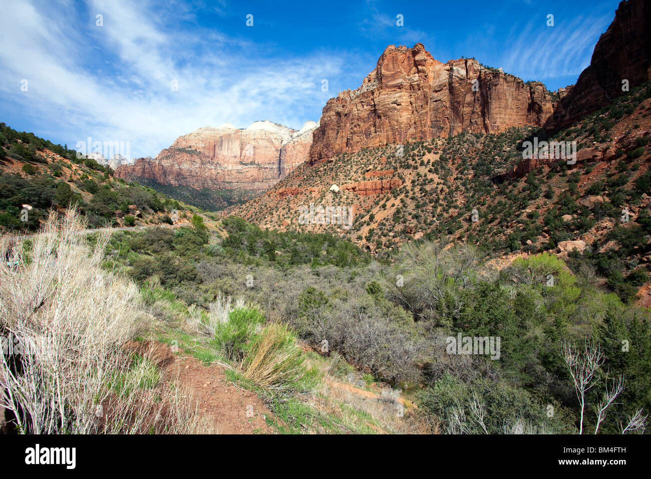 Cliffs at Zion National Park Stock Photo - Alamy