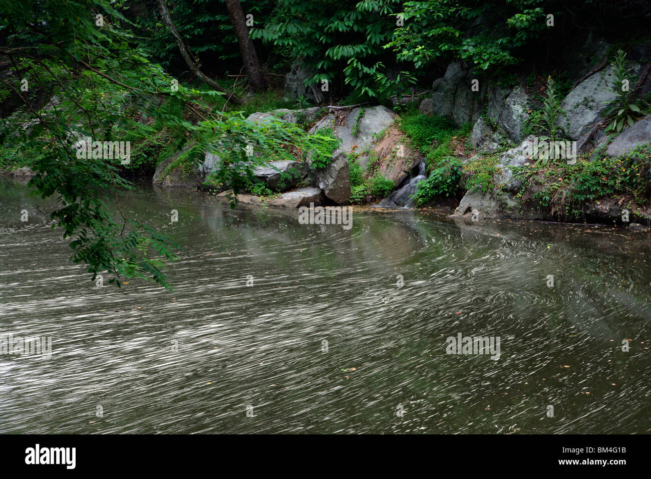Whirlpool plant hi-res stock photography and images - Alamy