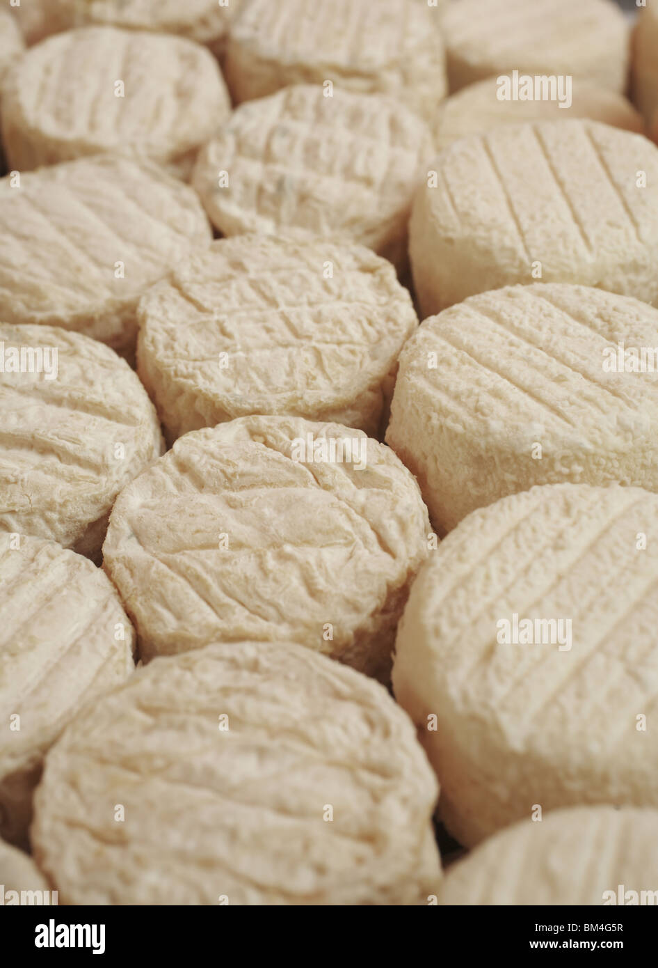 Selection of goat cheeses Stock Photo - Alamy