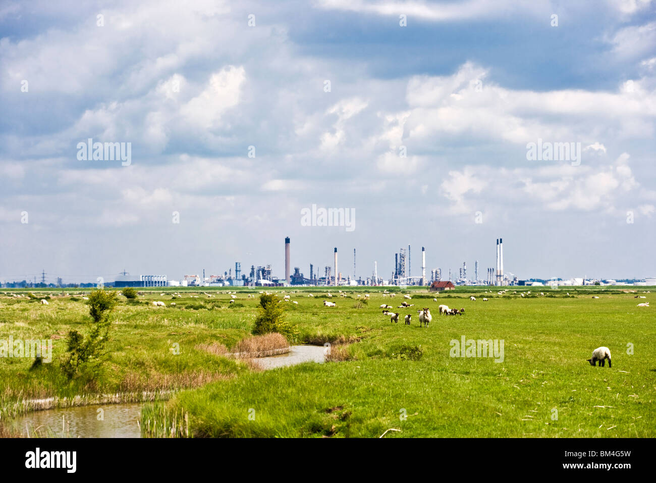 Thames Haven Oil Refinery from Cliffe Marshes Kent England Stock Photo ...