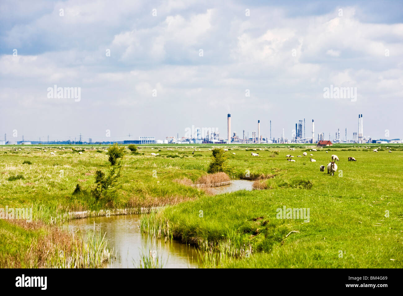 Thames Haven Oil Refinery from Cliffe Marshes Kent England Stock Photo ...