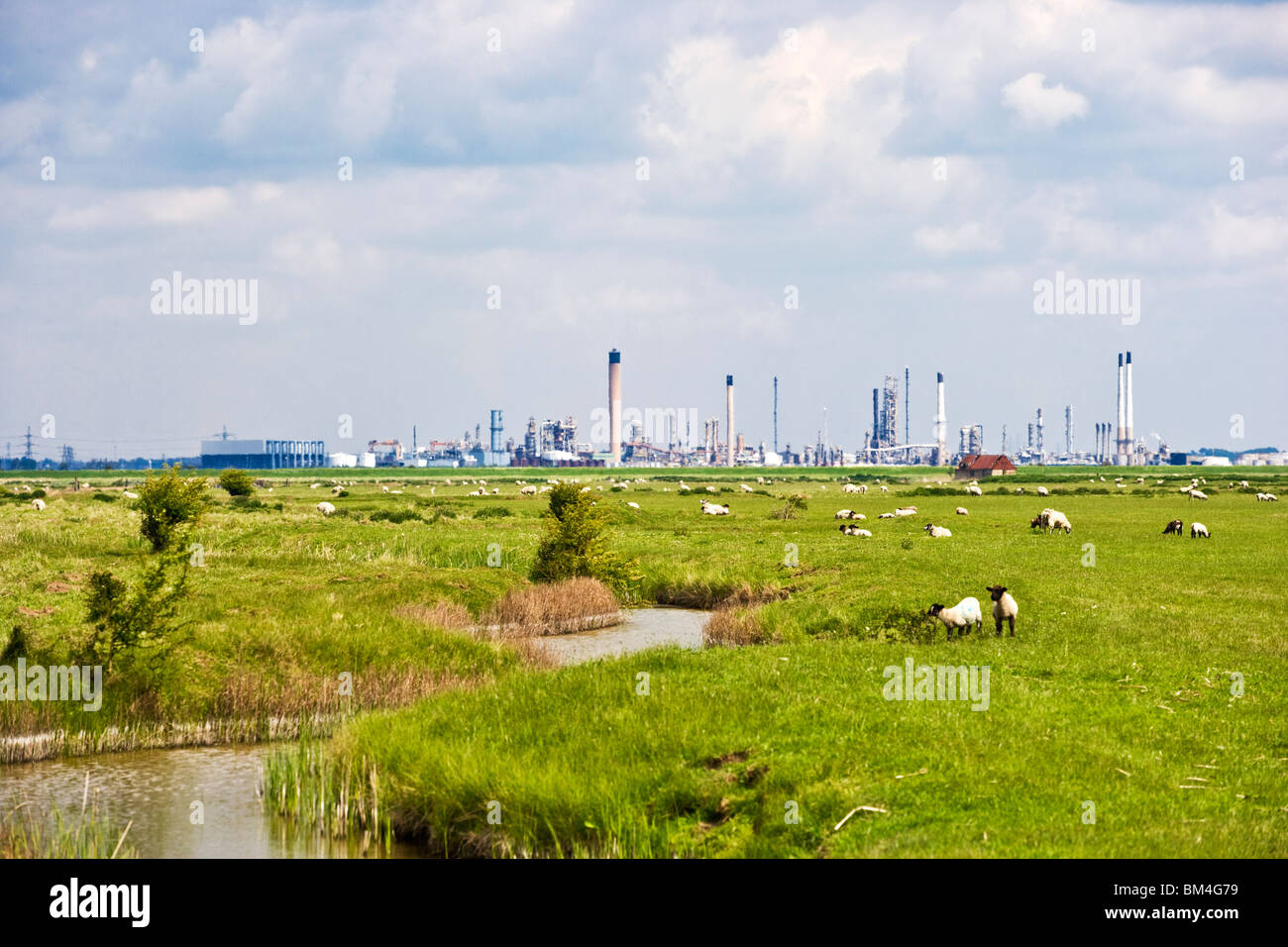 Thames Haven Oil Refinery from Cliffe Marshes Kent England Stock Photo ...