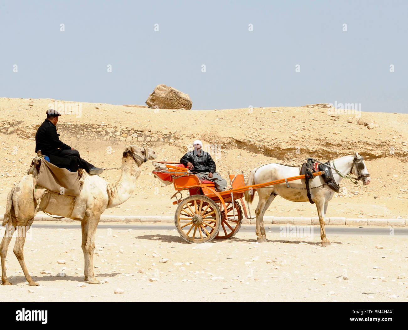 traffic police on his camel,Pyramids of giza, Giza Necropolis bordering ...
