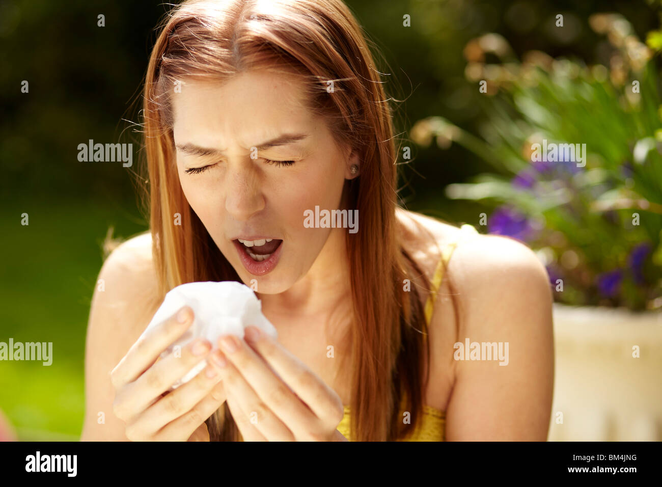 Sore eye flower hi-res stock photography and images - Alamy