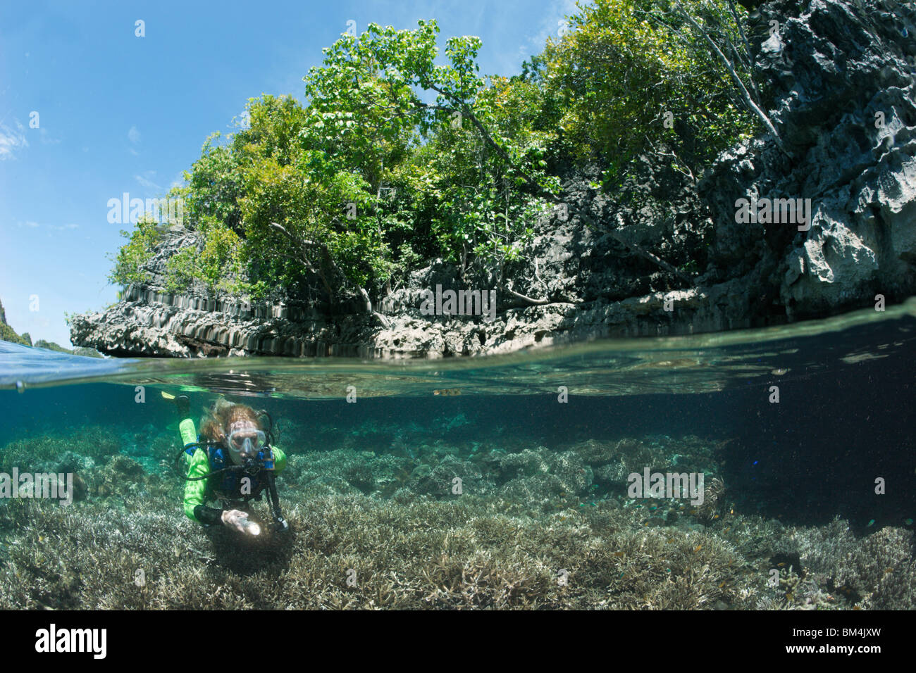 Snorkeling at shallow Coral Reef, Raja Ampat, West Papua, Indonesia ...
