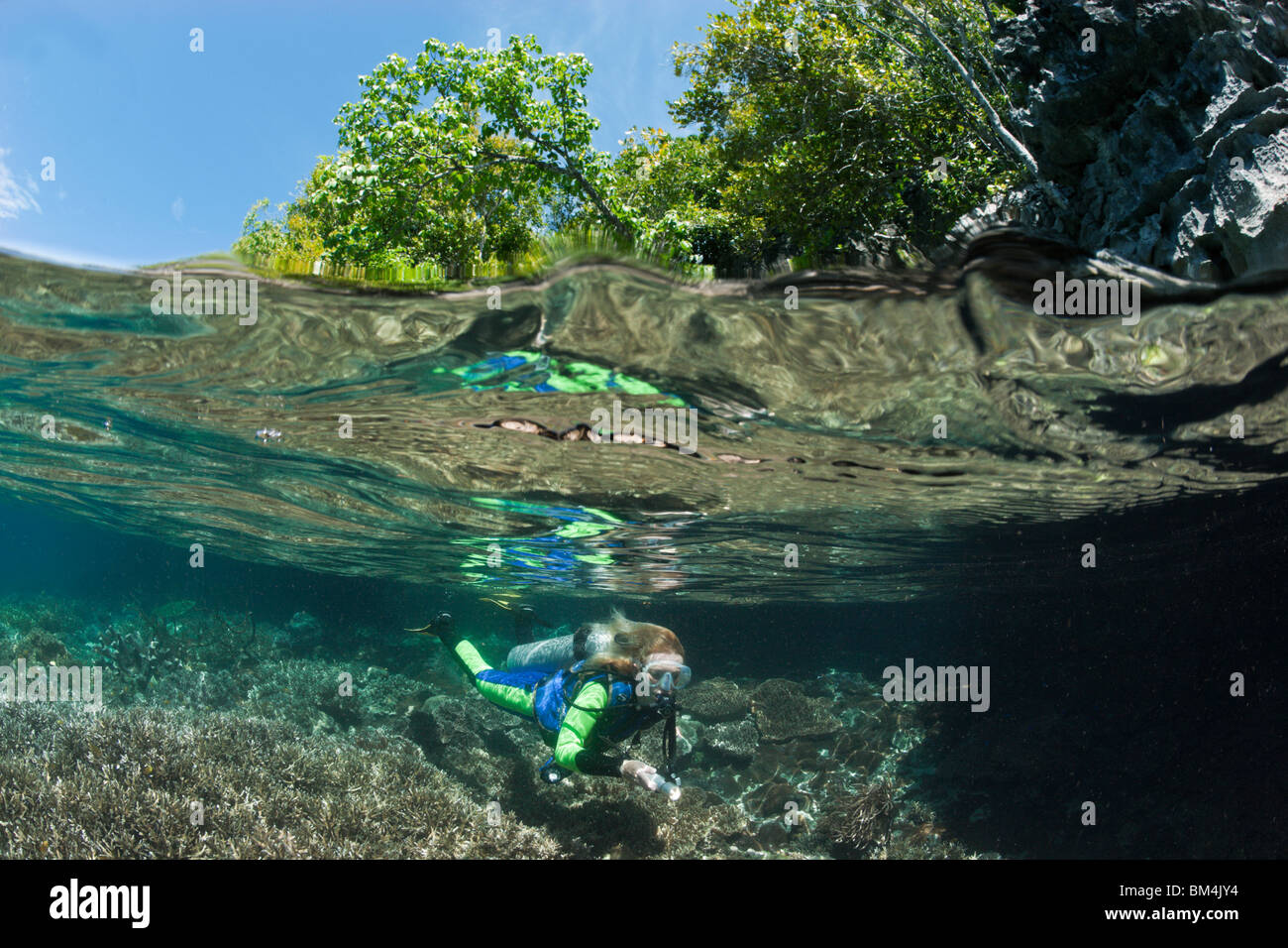 Snorkeling at shallow Coral Reef, Raja Ampat, West Papua, Indonesia ...