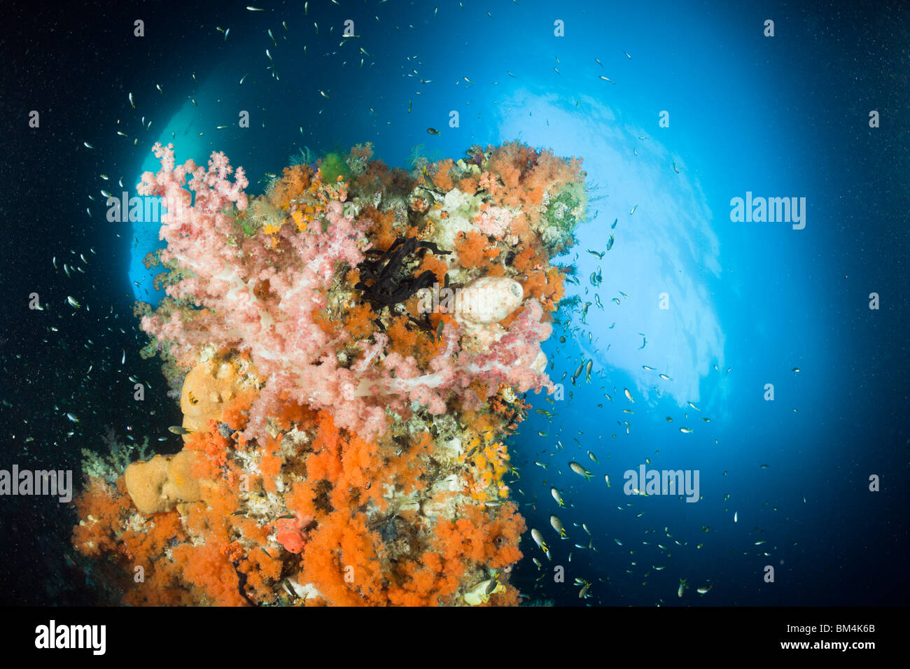 Underwater Grotto High Resolution Stock Photography and Images - Alamy