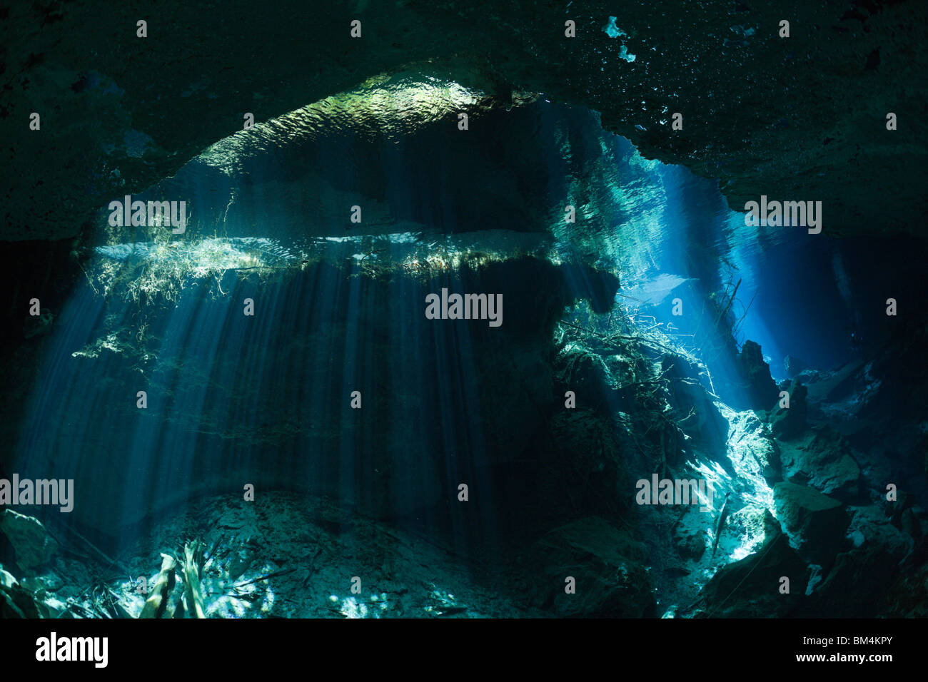 Entrance of Chac Mool Cenote, Playa del Carmen, Yucatan Peninsula, Mexico Stock Photo - Alamy