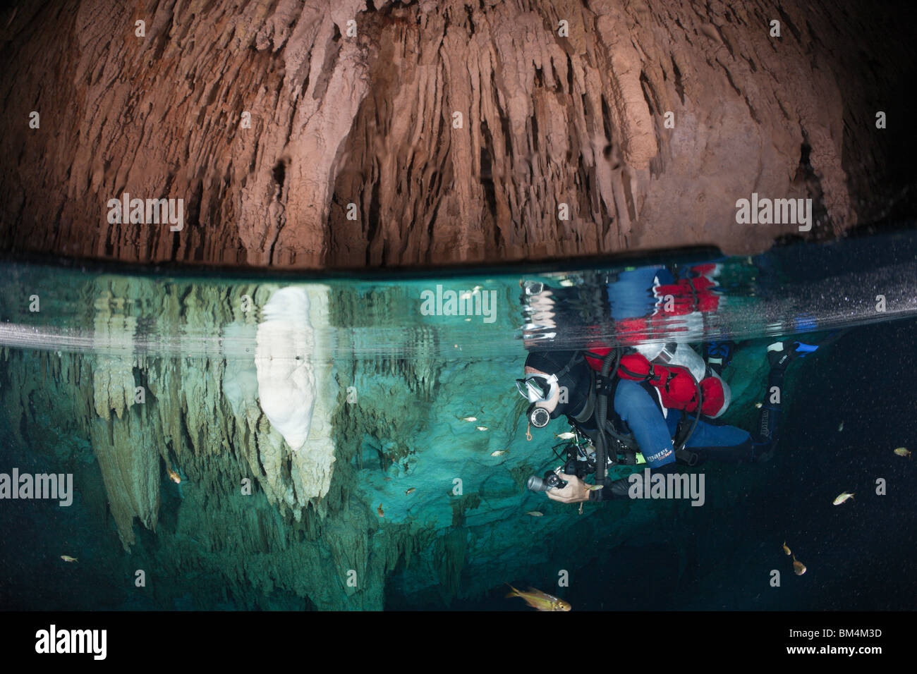 Scuba diver in Bat Cave Cenote, Playa del Carmen, Yucatan Peninsula ...