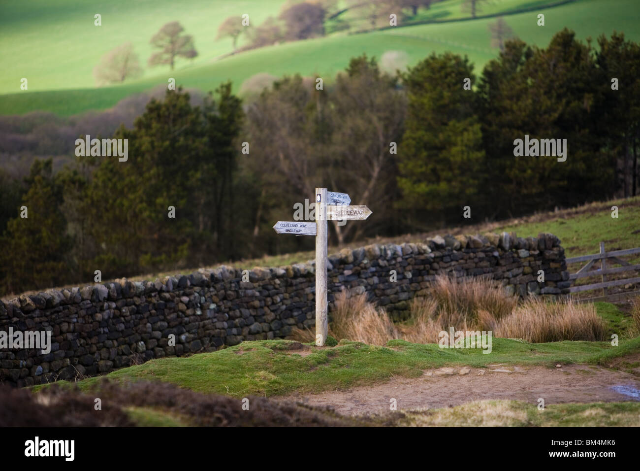Waymarkers on Scarth Wood Moor part of the Cleveland Way long distance ...