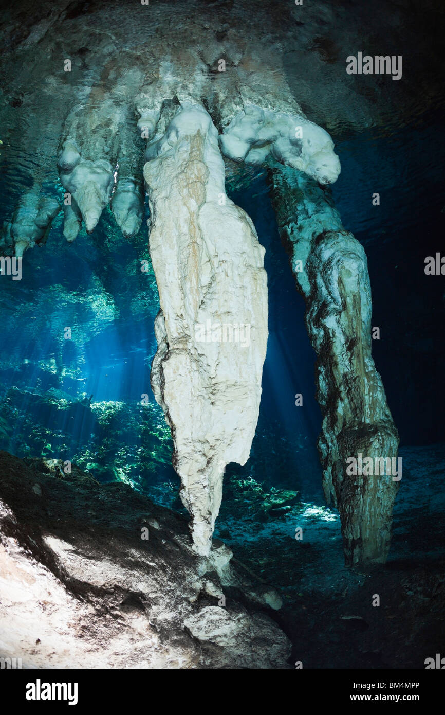 Stalactites in Gran Cenote, Tulum, Yucatan Peninsula, Mexico Stock ...