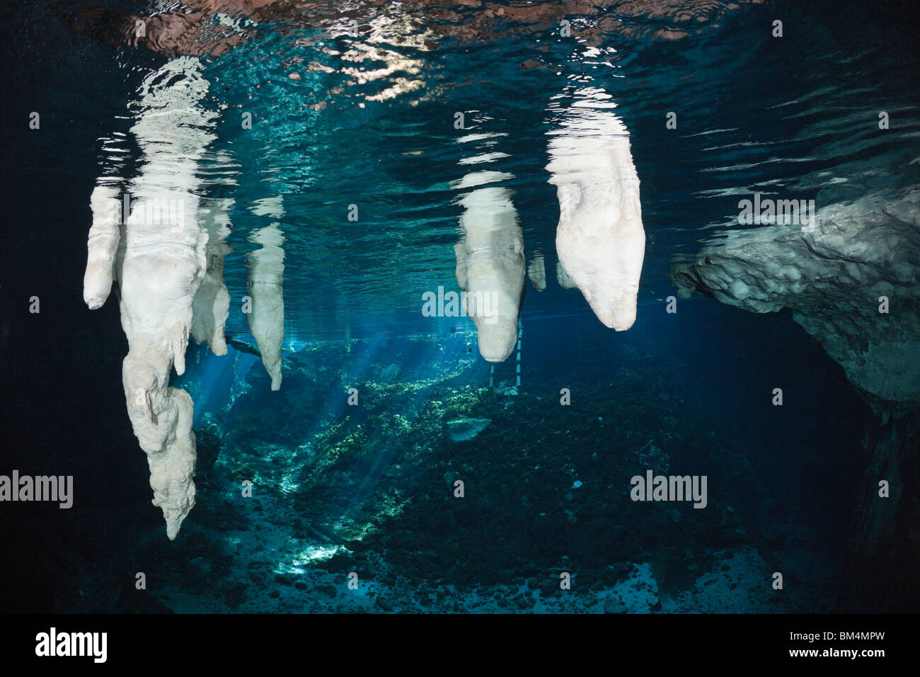 Stalactites in Gran Cenote, Tulum, Yucatan Peninsula, Mexico Stock ...