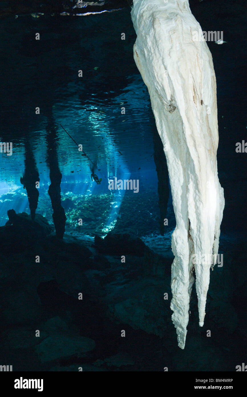 Cenote hi-res stock photography and images - Alamy
