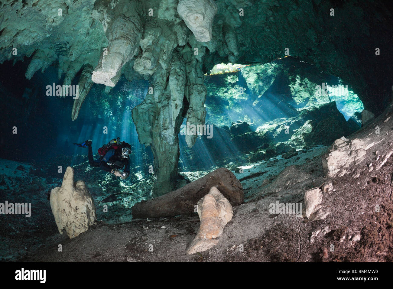 Scuba Diver in Gran Cenote, Tulum, Yucatan Peninsula, Mexico Stock Photo - Alamy