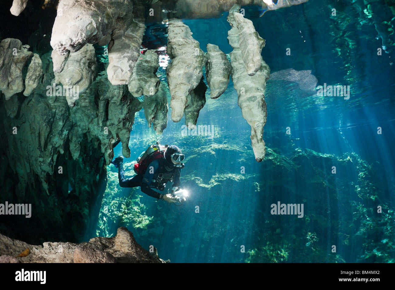 Scuba Diver in Gran Cenote, Tulum, Yucatan Peninsula, Mexico Stock Photo - Alamy