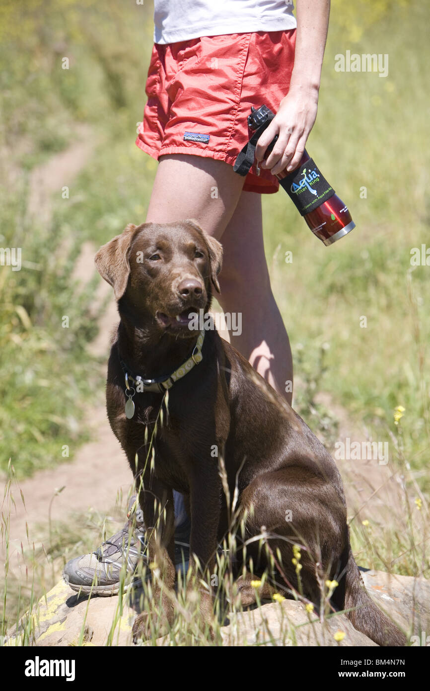 Dog trail hi-res stock photography and images - Alamy