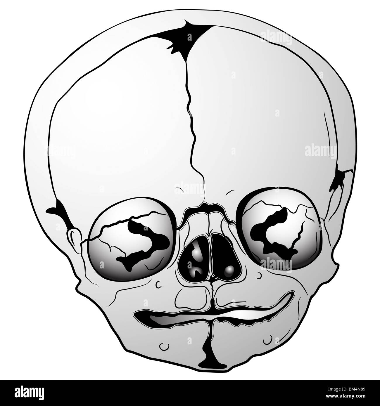 Macabre fashion Cut Out Stock Images & Pictures - Alamy