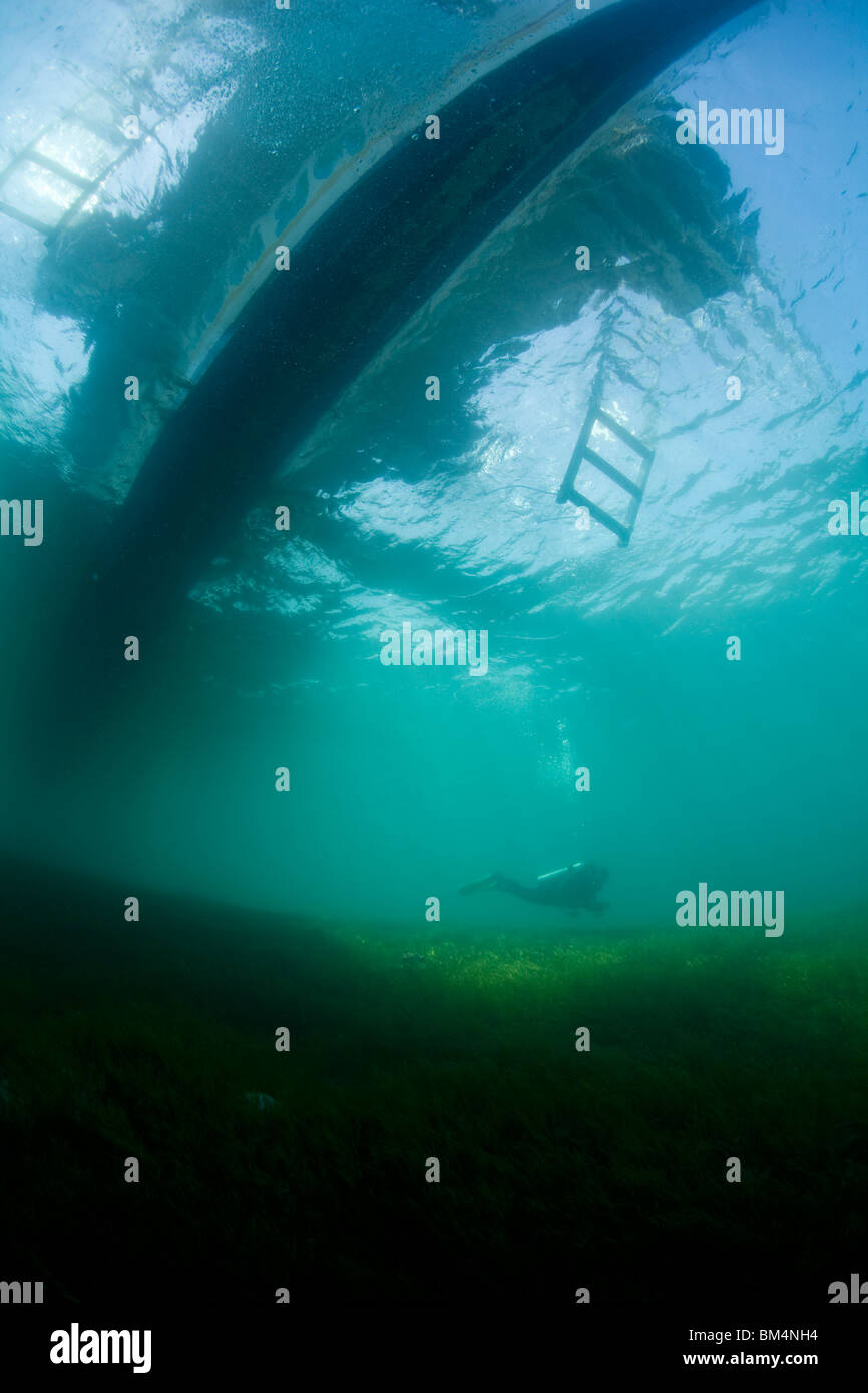 Diving Boat over Sea Grass Bed, Cabilao Island, Visayas Islands ...
