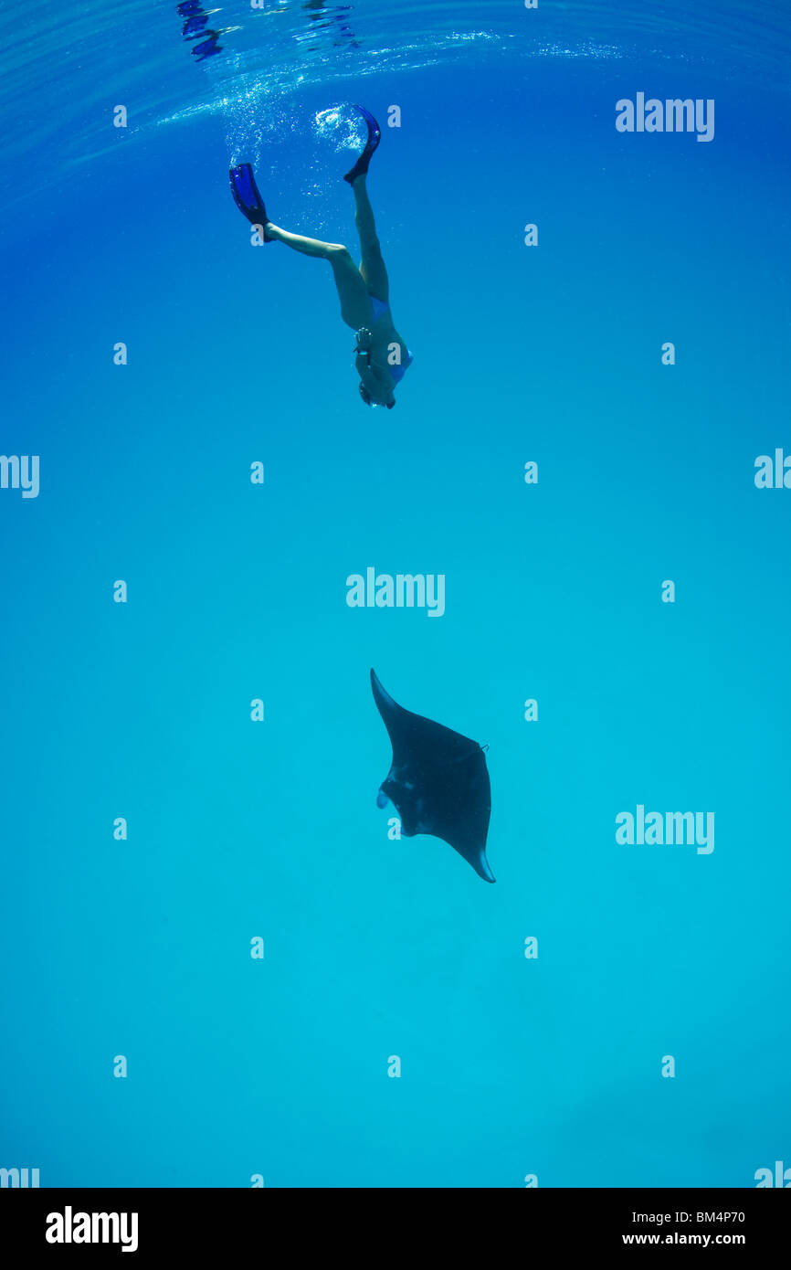 Woman swimming with Manta, Manta birostris, Raja Ampa, West Papua ...