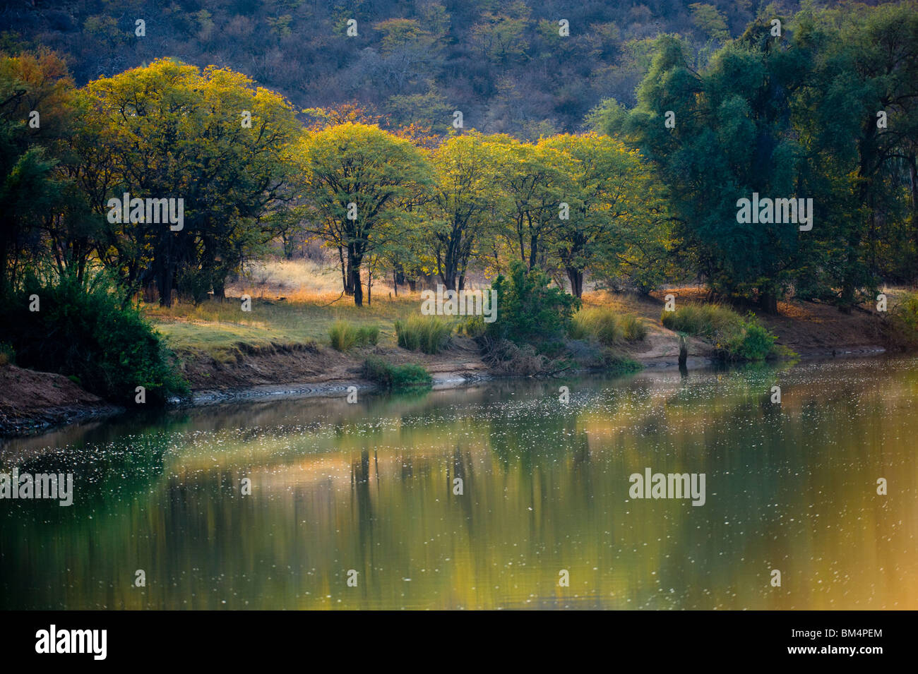 The Kunene river near the kunene river lodge, Kaokoland, Namibia Stock ...