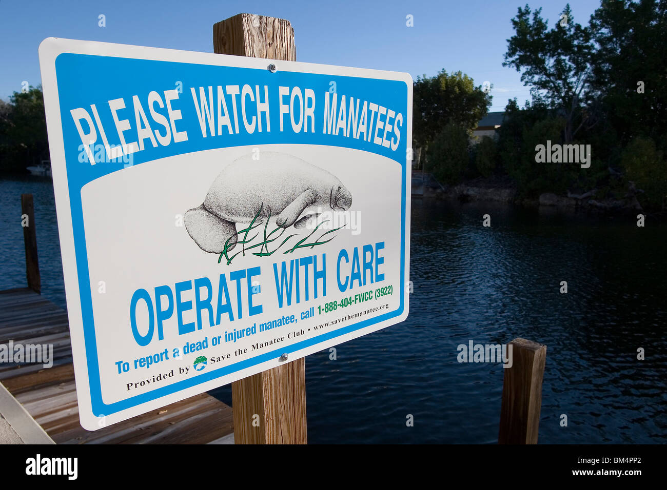 Save The Manatee Signs