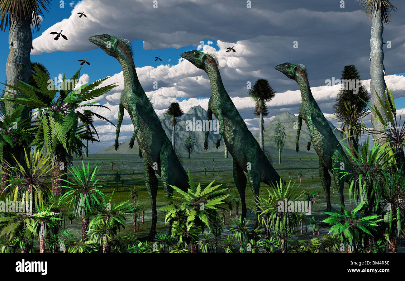 Train De Dinosaures Lesothosaurus A New Cretaceous Thyreophoran From