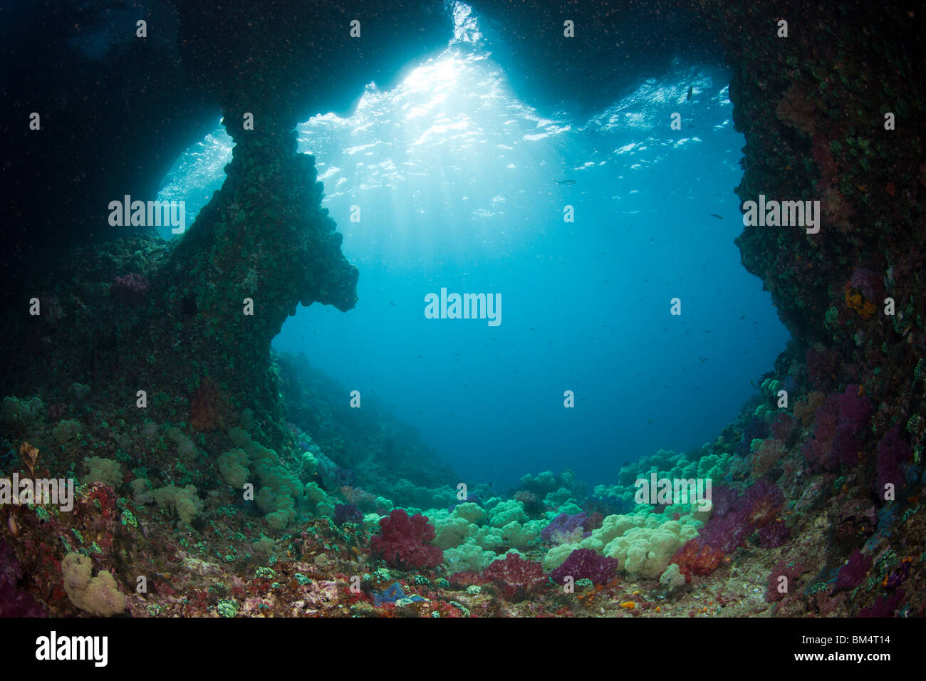 Underwater grotto hi-res stock photography and images - Alamy