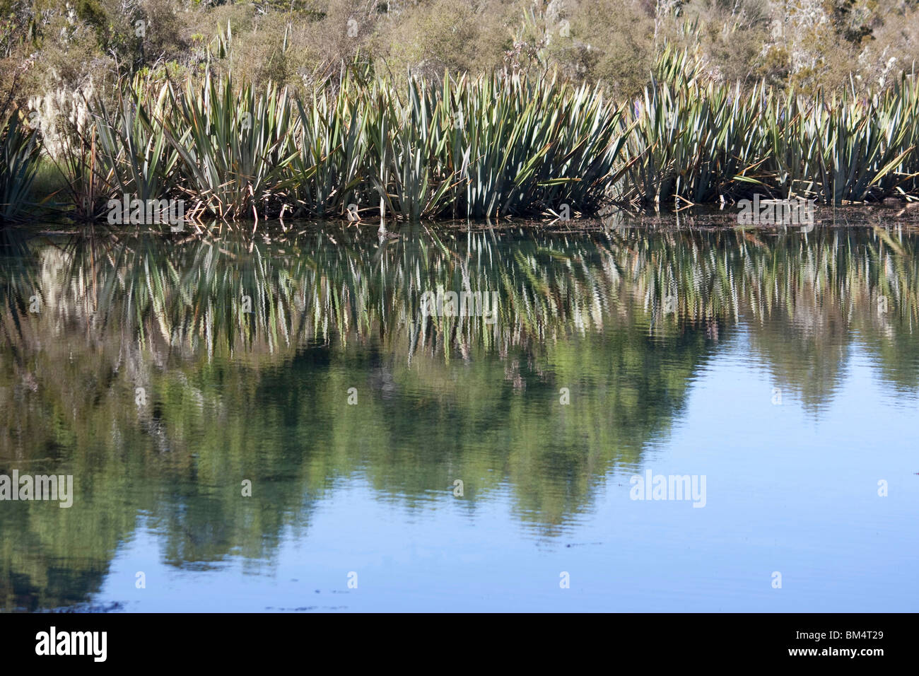 reflection from lake Stock Photo - Alamy
