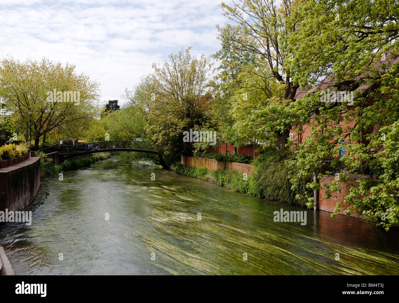The river Avon in Salisbury, Fullerton Bridge Stock Photo - Alamy