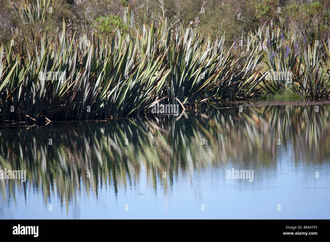 reflection from lake Stock Photo - Alamy