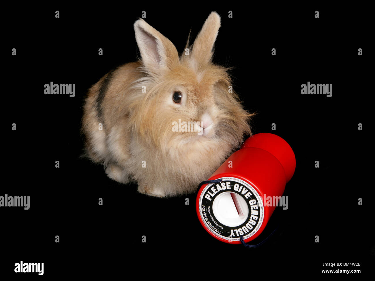 Charity collection tin box hi-res stock photography and images - Alamy