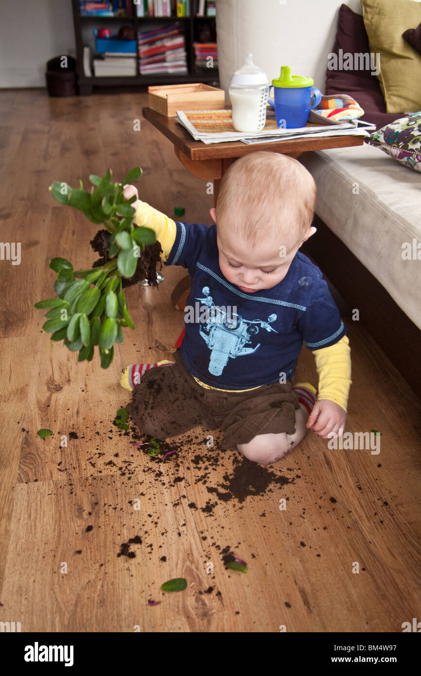 Destroying a plant hi-res stock photography and images - Alamy