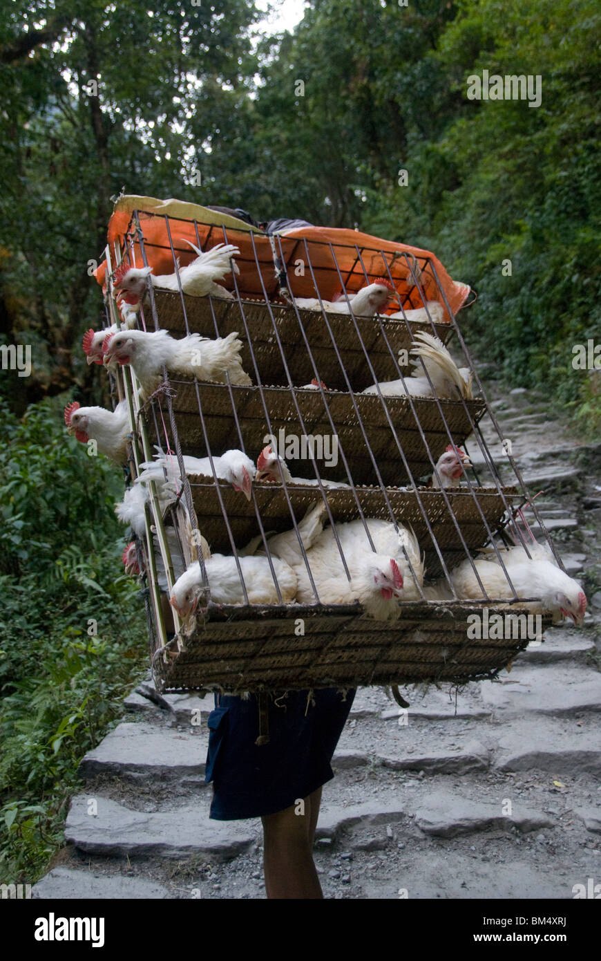 Load circuit hi-res stock photography and images - Alamy