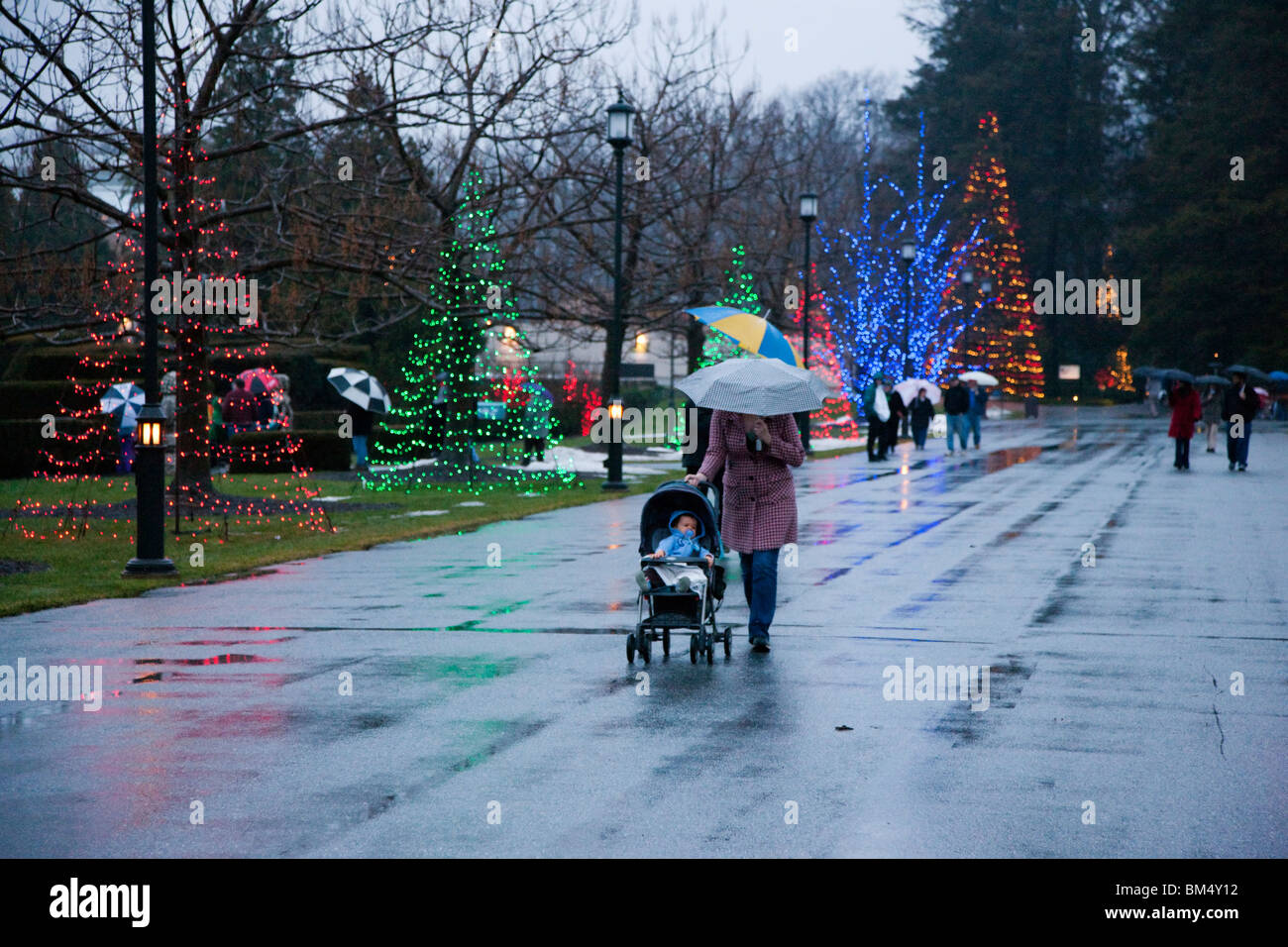 Visitors walk in the rain among trees decorated for Christmas Longwood ...