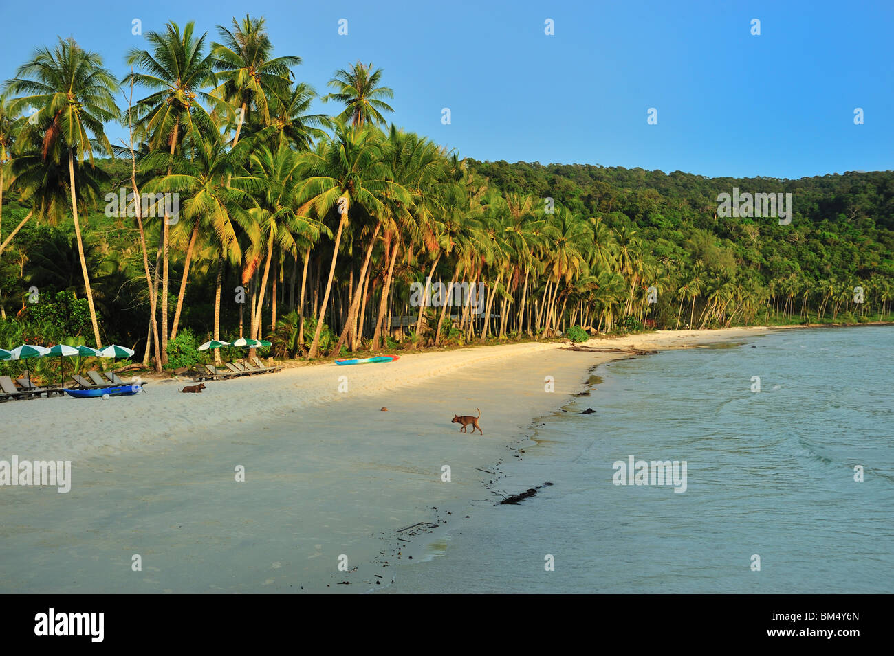 White sand koh kood beach hi-res stock photography and images - Alamy