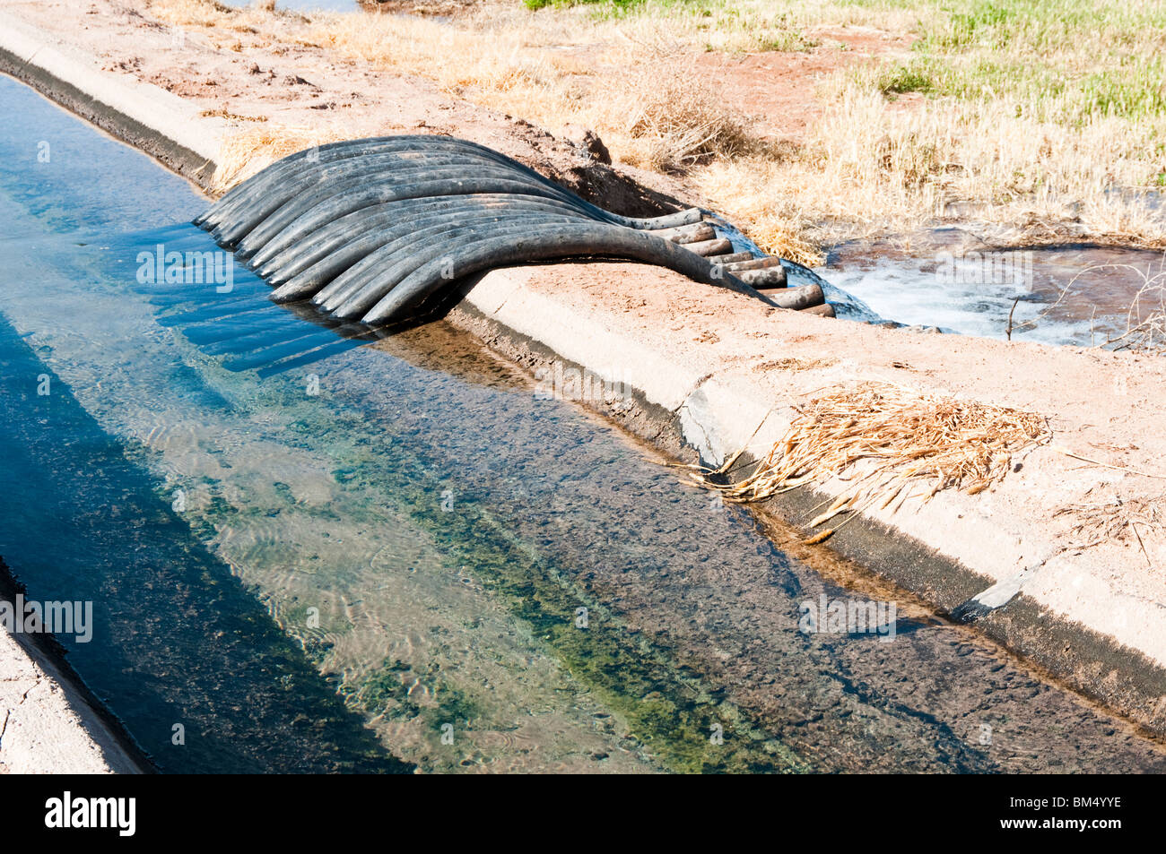 an irrigation canal and siphon tubes used to water a field in Arizona ...