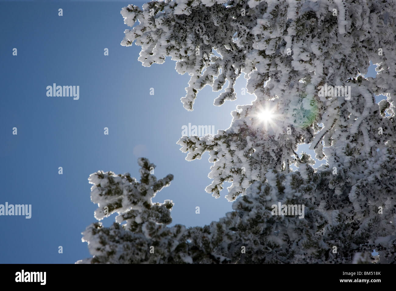 Monarch ski area hi-res stock photography and images - Alamy