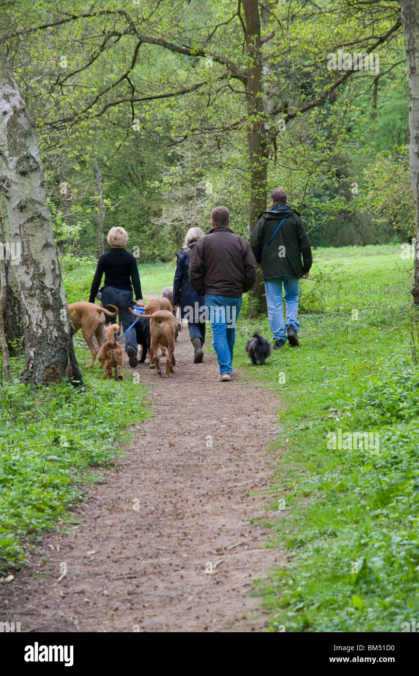 Hike dog woods hi-res stock photography and images - Alamy