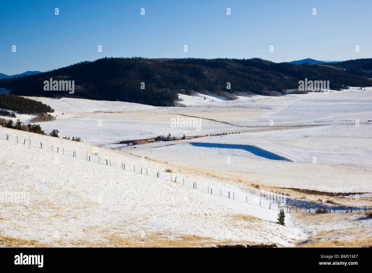 Pike national forest hi-res stock photography and images - Alamy