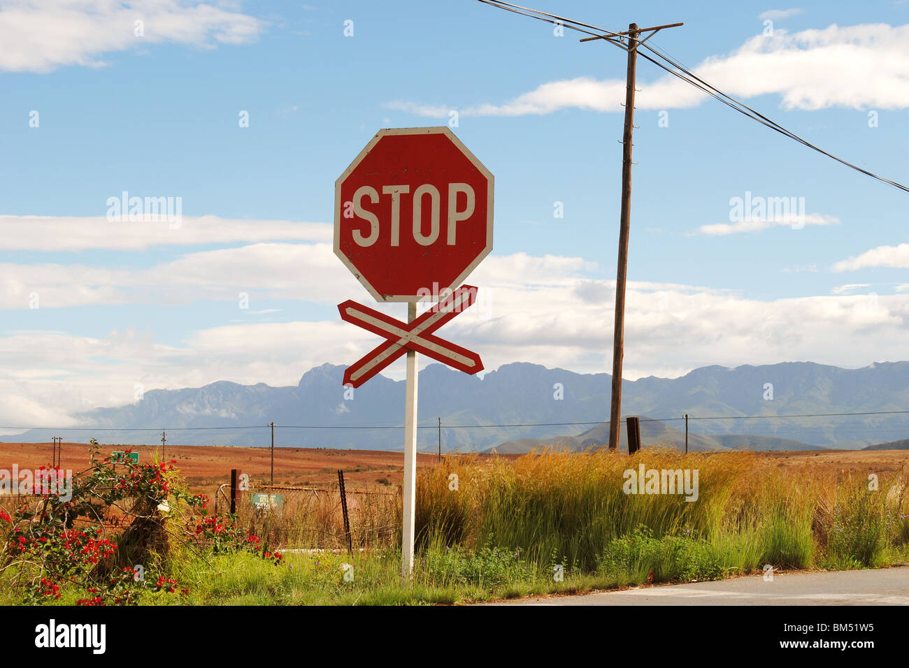 Stop_sign hi-res stock photography and images - Alamy