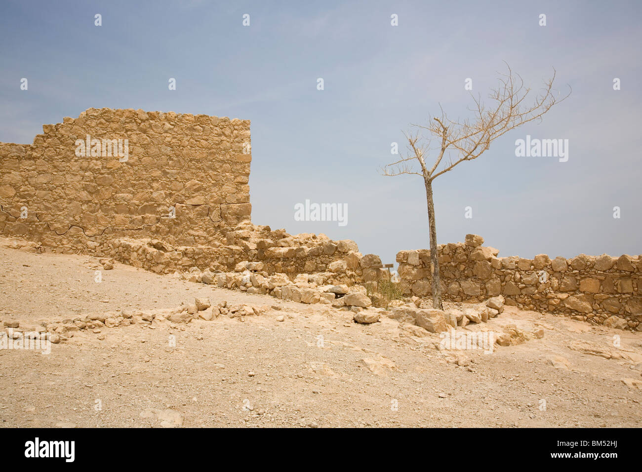 Masada and King Herod's ancient fortress - Israel Stock Photo - Alamy